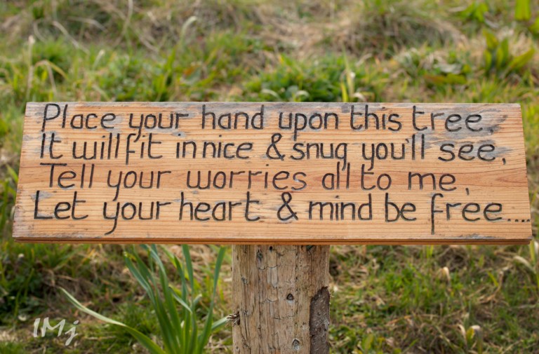 Anne Valley – Walk through the Fairy Door | Making memories