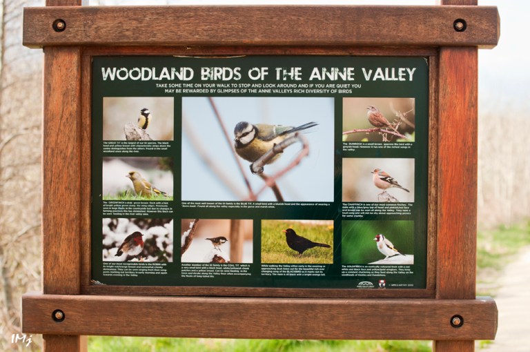 Anne Valley – Walk through the Fairy Door | Making memories