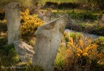 Anne Valley – Walk through the Fairy Door | Making memories